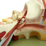 Raplixa Approved to Control Surgical Bleeding - LadyLively